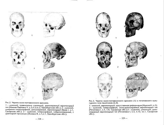 Iranian Nordoid examples - Page 10