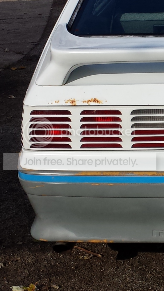 Rust removal on hatch | Ford Mustang Forums